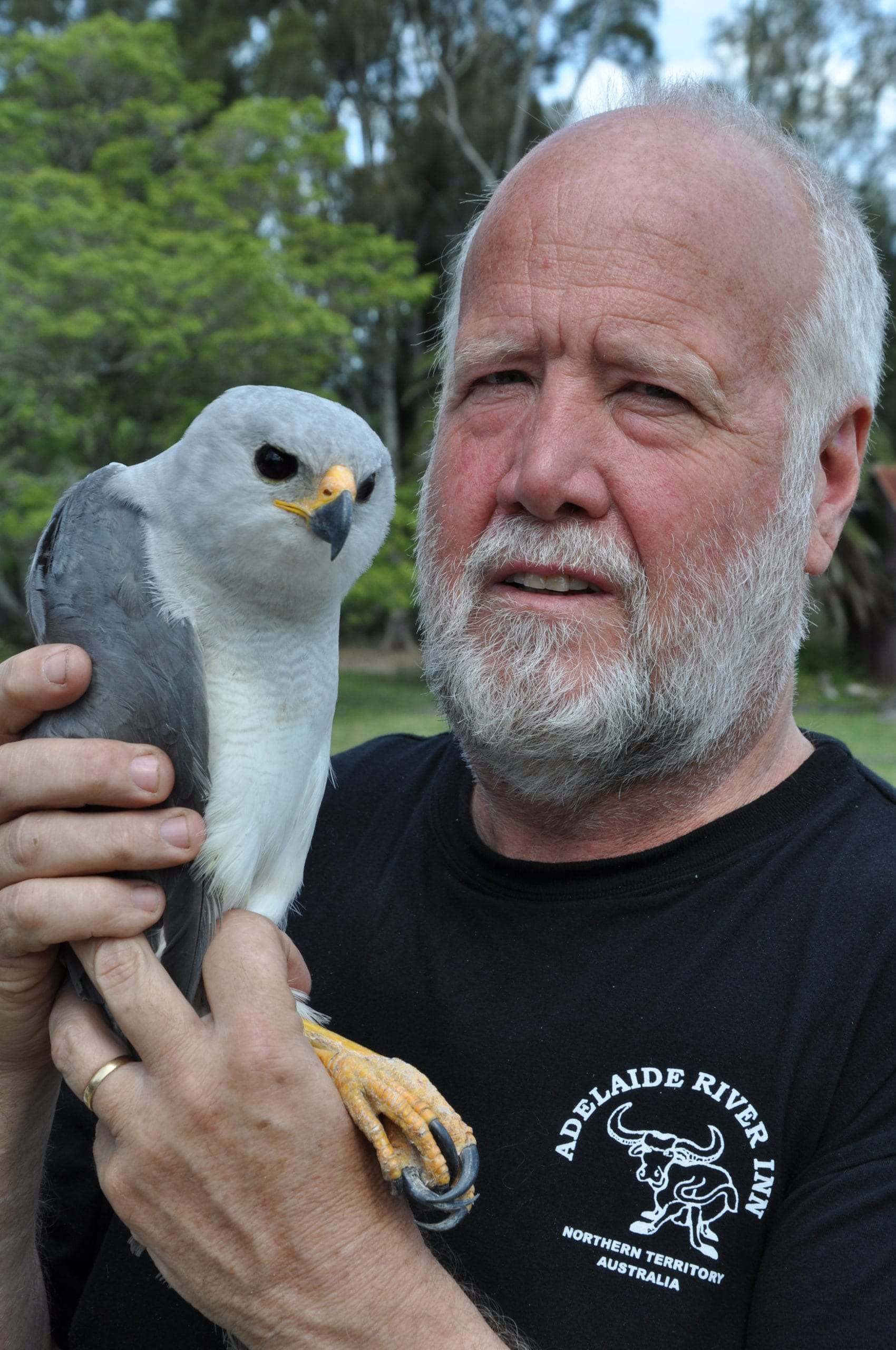 For Media - Neil Hermes