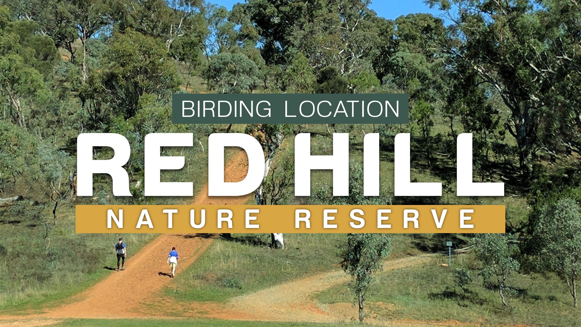 The Red Hill Reserve - Neil Hermes