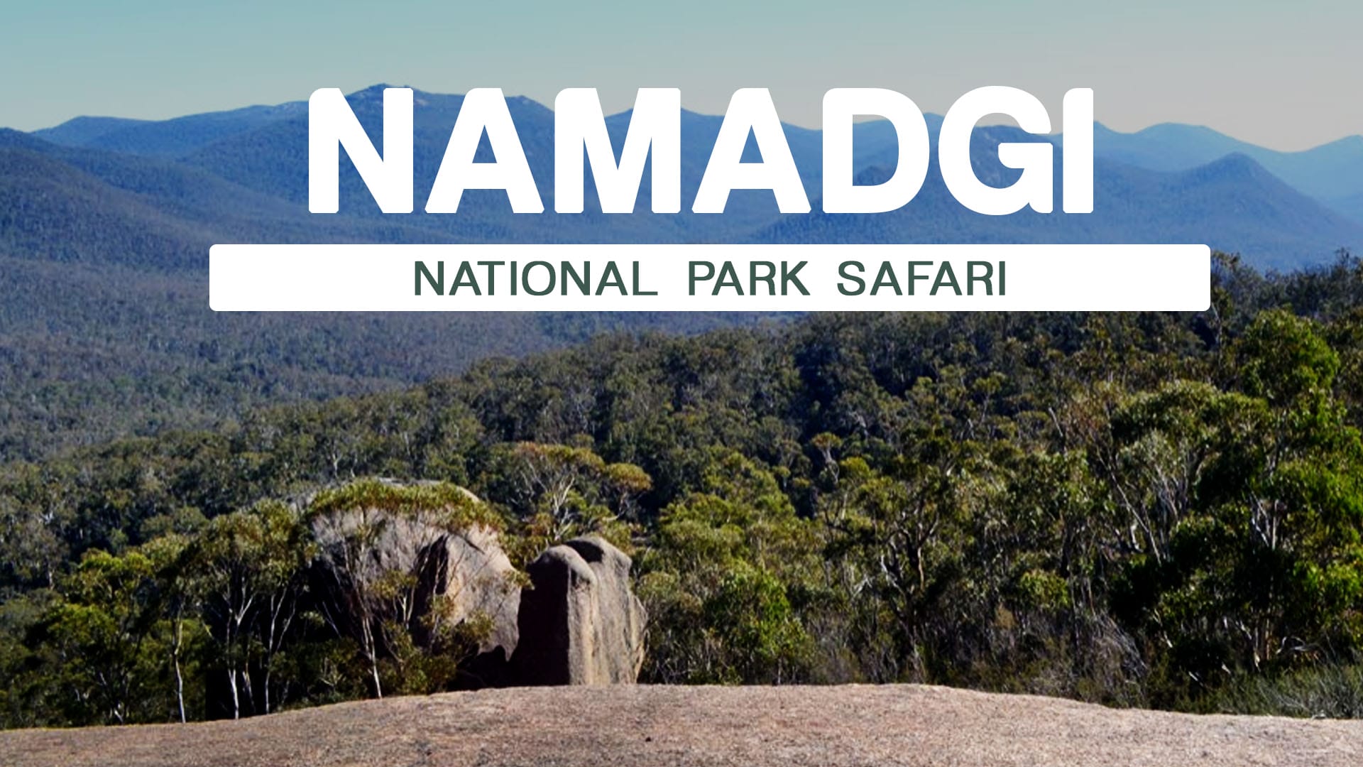 Safaris - Neil Hermes